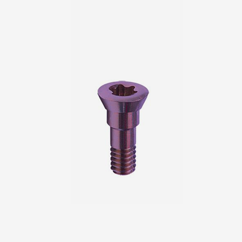 BL RC - Parafuso de Fecho - GH 0.5 mm (Ref. 22099) – MEISINGER - Nuncifarma